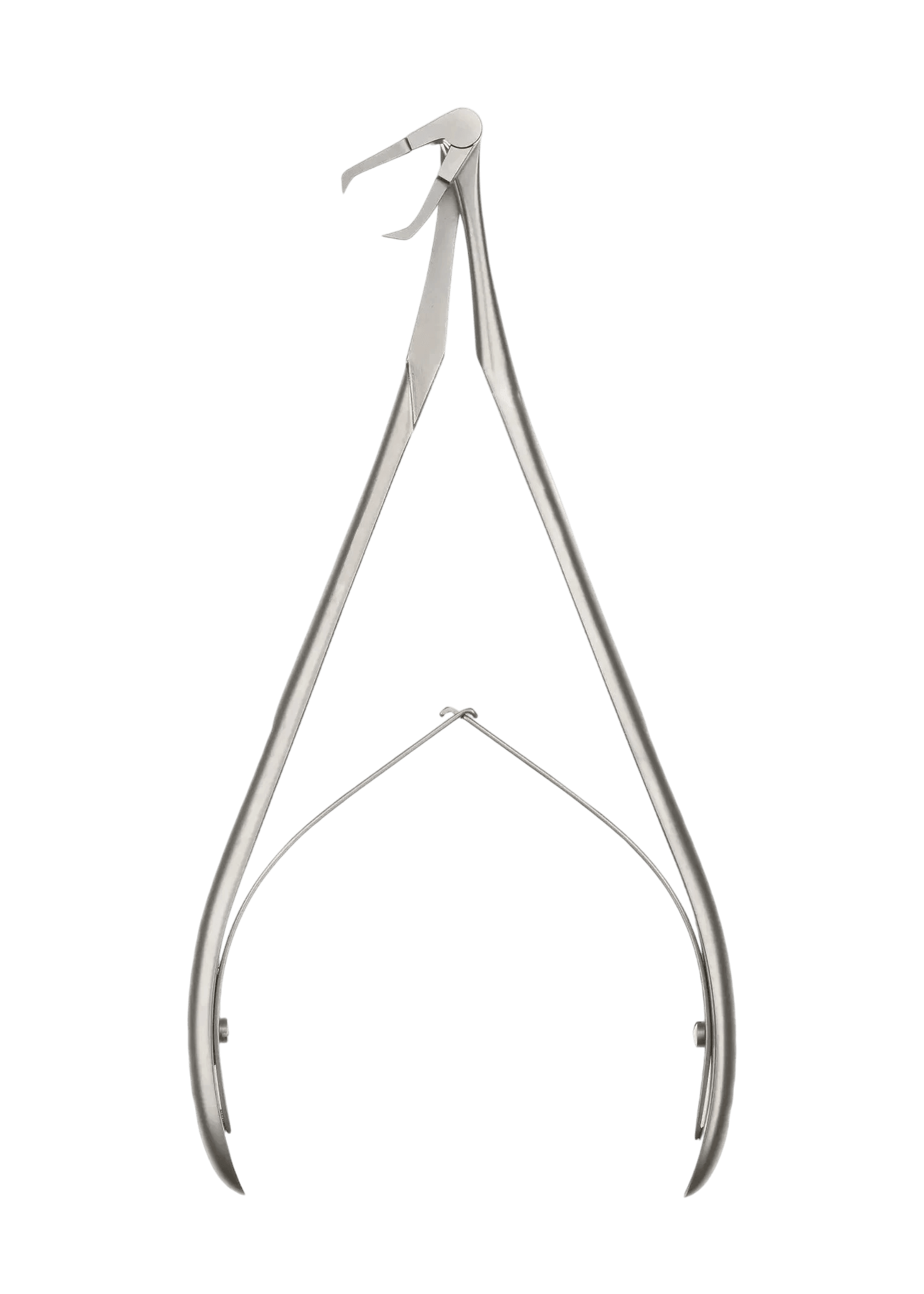 Buy Lingual Plier Anterior Debonding at Reasonable Price | Ddpeliteusa